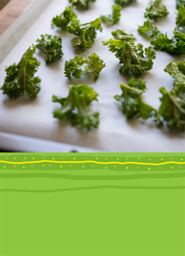 Cardfool - Personalize and Send Funny Cards and Ecards!