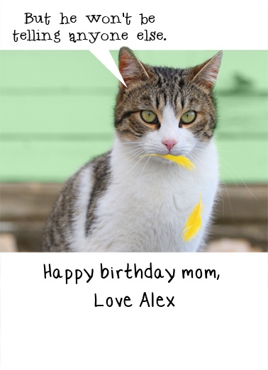 Cardfool - Personalize and Send Funny Cards and Ecards!