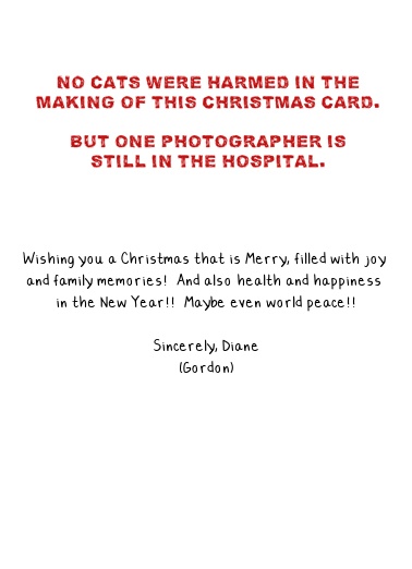 Cardfool - Personalize and Send Funny Cards and Ecards!